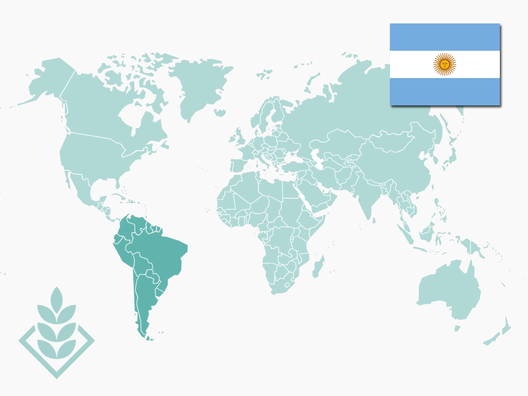DSV | DSV international