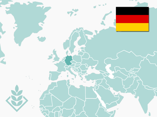 DSV | DSV international