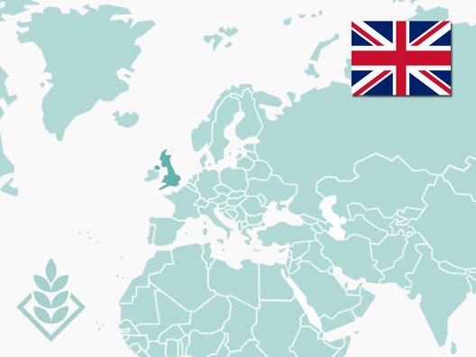 DSV | DSV international